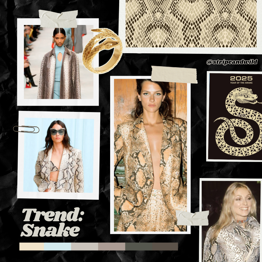 TRENDING: Snake Print – stripe&wild